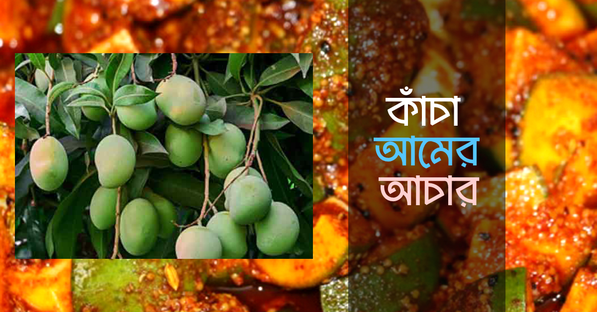 ঝড়-বাদলের দিনে তৈরি করে রাখুন কাঁচা আমের আচার